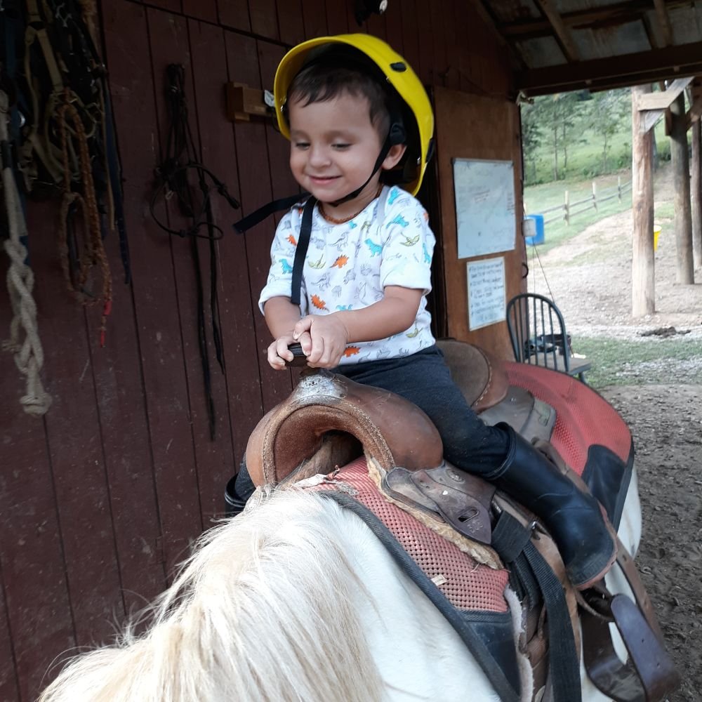 BLUE RIDGE MOUNTAIN TRAIL RIDES - 162 Photos & 27 Reviews - 319 Hell's ...