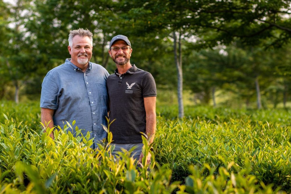 The Great Mississippi Tea Company, Brookhaven | Roadtrippers