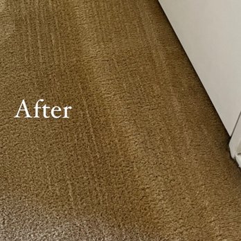 WORLD CLASS CARPET CLEANING - Updated November 2025 - 196 Photos & 474 ...
