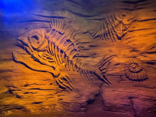 SEA LIFE GRAPEVINE AQUARIUM - Updated January 2025 - 440 Photos & 260 ...