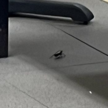 GRACE’S INN - Updated August 2025 - 837 Photos & 407 Reviews - 1296 S ...