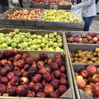 MT AIRY ORCHARDS - Updated July 2025 - 98 Photos & 35 Reviews - 522 E ...