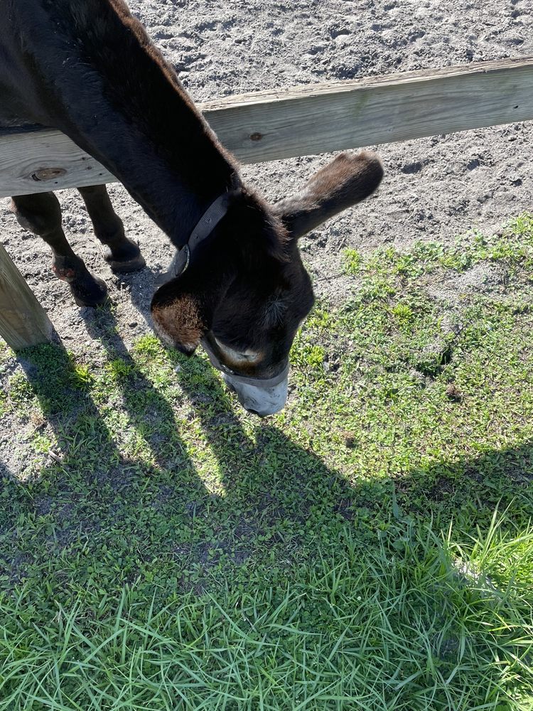 OYO PONDEROSA PINEWOOD RANCH AT MELBOURNE FL - Updated December 2025 ...