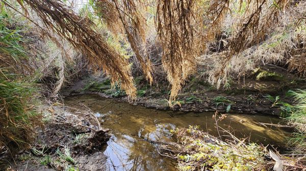 BREA DAM PARK - Updated December 2025 - 43 Photos - 1700 N Harbor Blvd ...