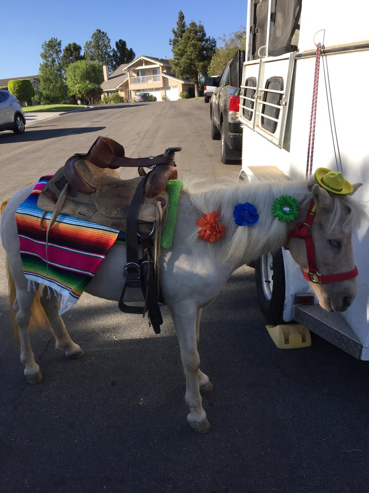 HAPPY HOOVES PETTING ZOO & PONY RIDES - 82 Photos & 86 Reviews - Zoos ...