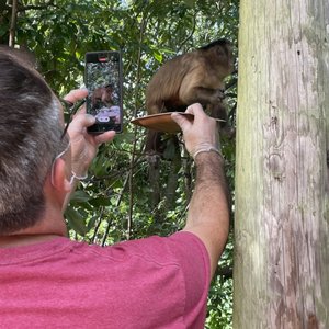 MONKEY JUNGLE - 370 Photos & 185 Reviews - 14805 SW 216th St, Miami ...