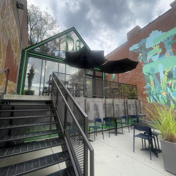 NEON GREENS - Updated February 2025 - 95 Photos & 48 Reviews - 4176 ...