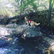 TRAIL CANYON FALLS - 409 Photos & 94 Reviews - Hiking - Trail Canyon Rd ...