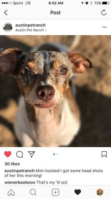 AUSTIN PET RANCH - Updated September 2025 - 12 Photos & 65 Reviews ...