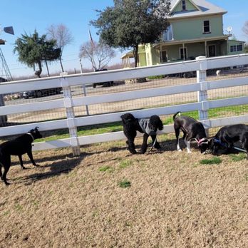 CR RANCH PET-O-TEL - Updated November 2025 - 147 Photos & 79 Reviews ...