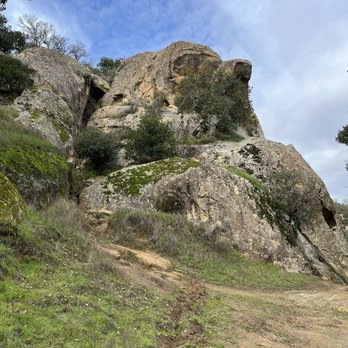 DIABLO FOOTHILLS REGIONAL PARK - Updated January 2026 - 244 Photos & 45 ...