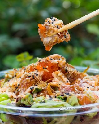 POKE GUYS - Updated August 2025 - 502 Photos & 384 Reviews - 112 ...