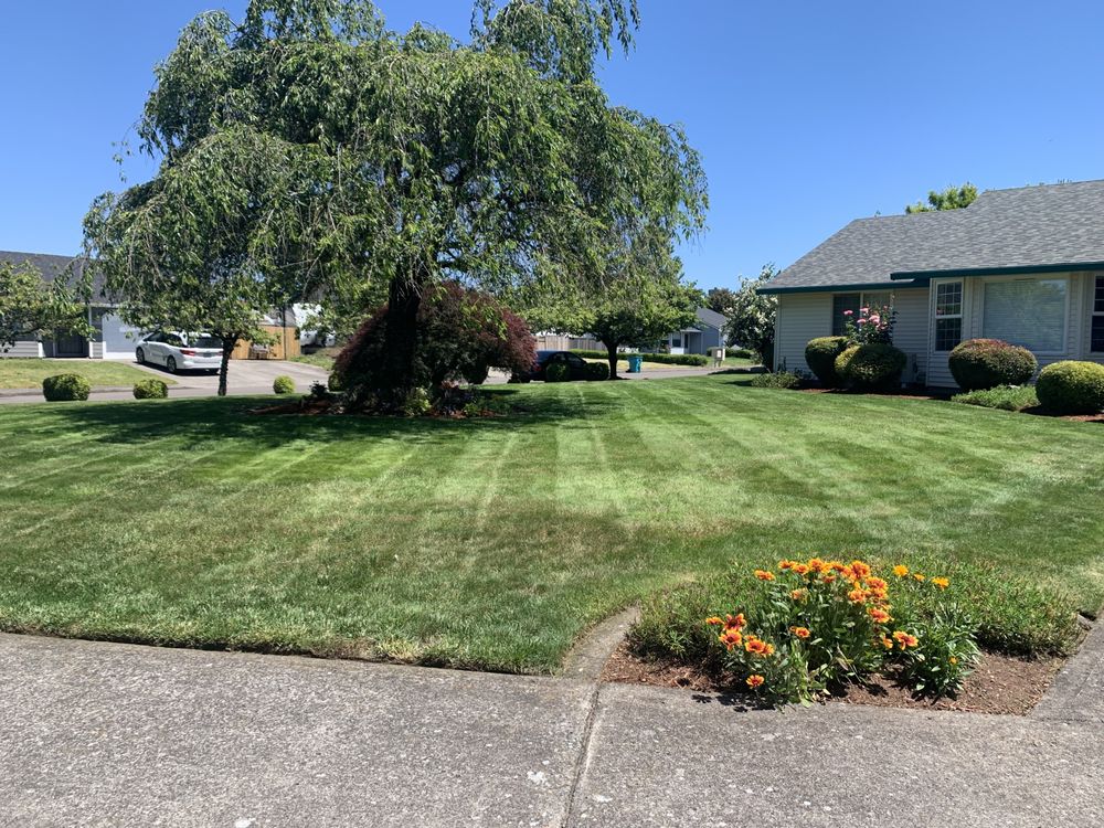 DANIEL V LANDSCAPING - 26 Photos - Vancouver, Washington - Landscaping - Phone Number - Yelp