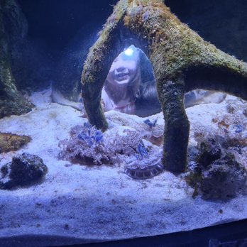 AQUARIUM & SHARK LAB BY TEAM ECCO - Updated October 2025 - 66 Photos ...