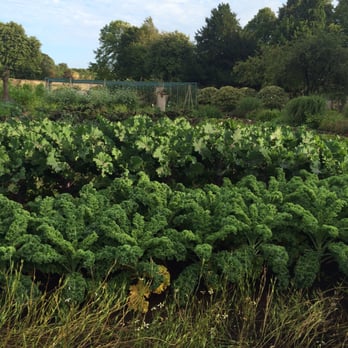 THE PIG - 35 Photos - Hunstrete House, Bath, United Kingdom - Hotels ...