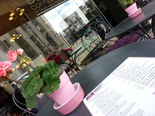 THE BELFAST COFFEE COMPANY - Updated April 2025 - 13 Photos & 14 ...