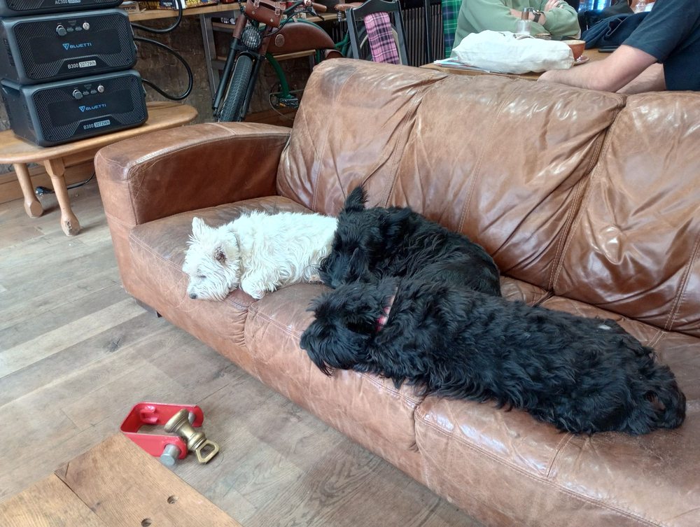 LAUNDRY KAFE - Updated June 2025 - 11 Photos & 49 Reviews - 55 Clerk St ...