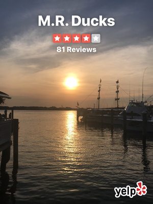 M.R. DUCKS - 105 Photos & 149 Reviews - American (New) - 311 Talbot St ...