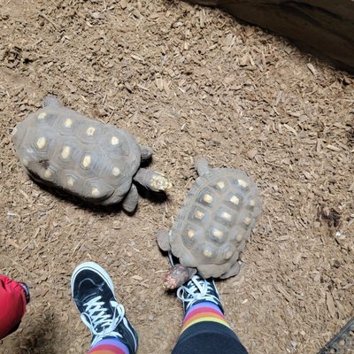 ZOO CREATURES PET STORE - Updated December 2025 - 83 Photos & 70 ...