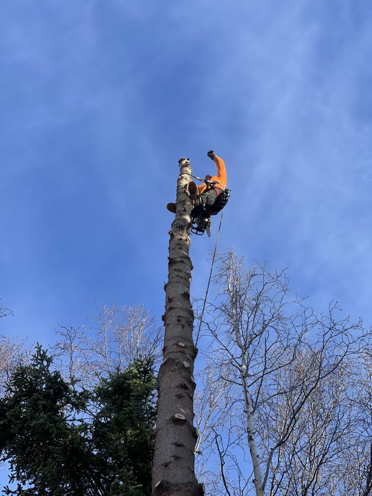 KINGSMAN TREE SERVICE - Updated January 2026 - Request a Quote - 14 Photos - Anchorage, Alaska ...