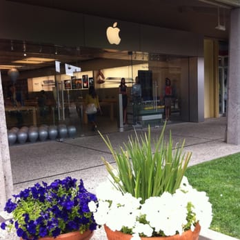 APPLE DEL MONTE - Updated December 2025 - 36 Photos & 301 Reviews - 240 ...