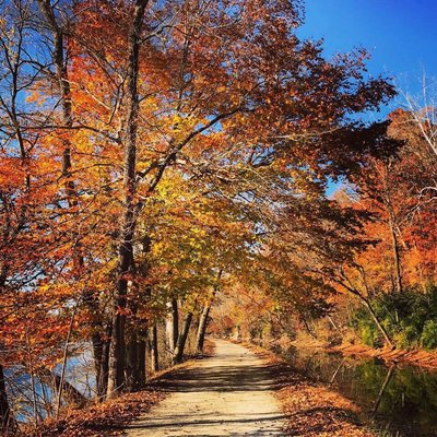 SWAIN’S LOCK - Updated December 2025 - 18 Photos - 10700 Swains Lock Rd ...