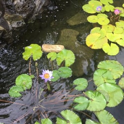 UNITY CHURCH OF HAWAII - 28 Photos & 12 Reviews - 3608 Diamond Head Cir ...