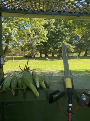 DETERING ORCHARDS - Updated October 2025 - 88 Photos & 49 Reviews ...