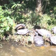 MICKE GROVE PARK - 153 Photos & 56 Reviews - 11793 N Micke Grove Rd ...