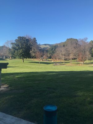 PIONEER PARK - 30 Photos & 21 Reviews - 1007 Simmons Ln, Novato ...