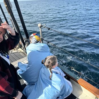 NEXT LEVEL SAILING - Updated February 2025 - 264 Photos & 272 Reviews ...