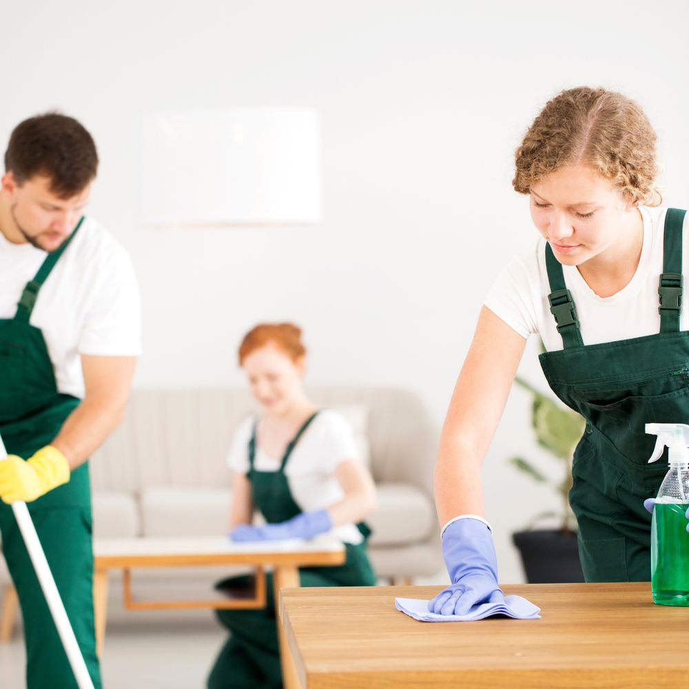 OUI CLEAN ALBANY - Updated July 2025 - 19 Photos - Albany, New York ...