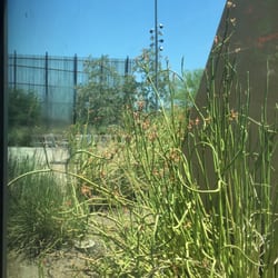 AGAVE LIBRARY - 24 Photos & 23 Reviews - 23550 N 36th Ave, Phoenix ...