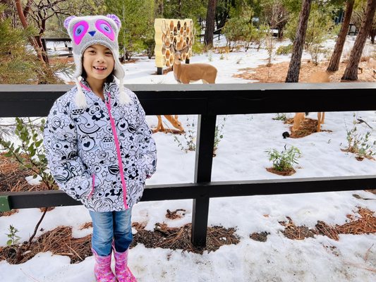 IDYLLWILD NATURE CENTER - 256 Photos & 61 Reviews - 25225 Hwy 243 ...