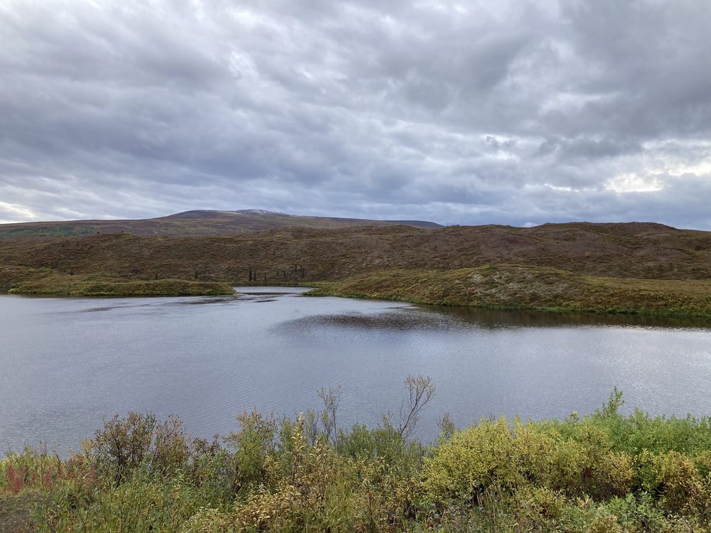 TANGLE LAKES LODGE - Updated July 2025 - 22 Denali Hwy, Paxson, Alaska ...
