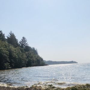 GRAYLAND BEACH STATE PARK - Updated November 2025 - 52 Photos & 34 ...