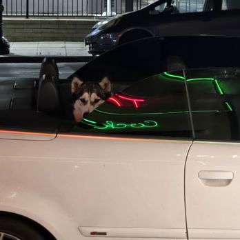 THE OULD SOD - Updated December 2025 - 162 Photos & 362 Reviews - 3373 ...