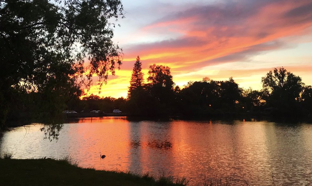 LODI LAKE TOURS - Updated December 2025 - 200 Photos & 50 Reviews ...