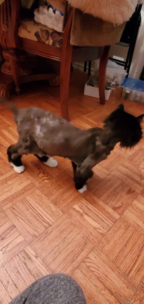 PETSMART - Updated May 2026 - 9450 - 137 Avenue NW, Edmonton, Alberta ...