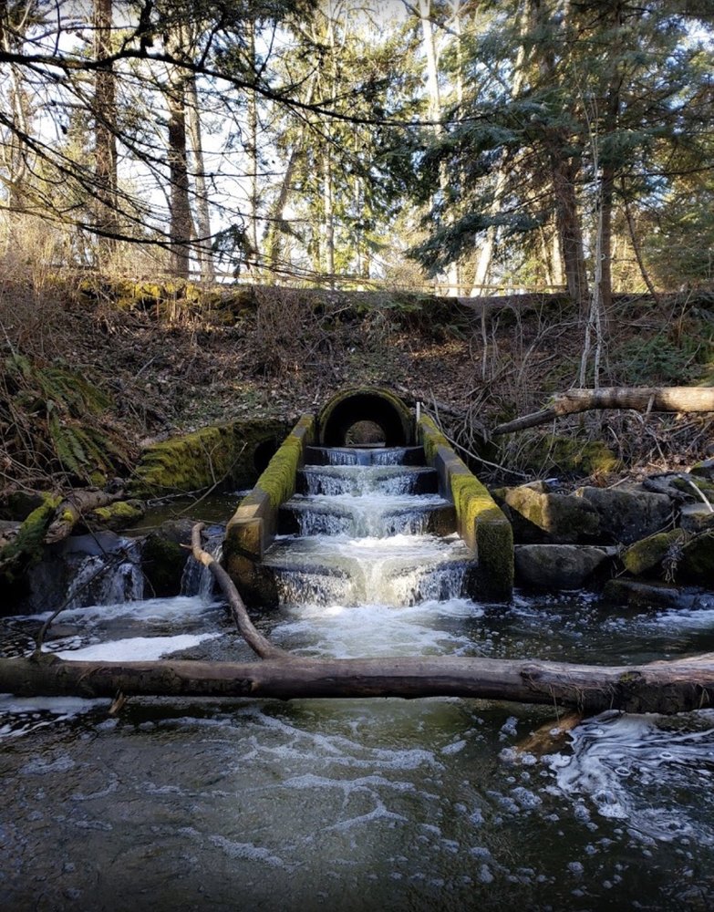 FAIRHAVEN PARK - 24 Photos - 2222-2298 Chuckanut Dr N, Bellingham ...