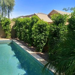 JNK LANDSCAPING AND POOLS - 556 Photos & 230 Reviews - Gilbert, Arizona ...