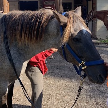 RED BUFFALO RANCH - Updated October 2025 - 69 Photos & 62 Reviews ...