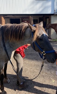 RED BUFFALO RANCH - Updated September 2024 - 67 Photos & 54 Reviews ...