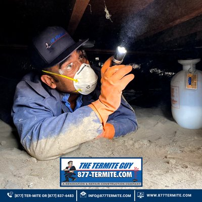 THE TERMITE GUY - Updated September 2025 - 80 Photos & 507 Reviews ...
