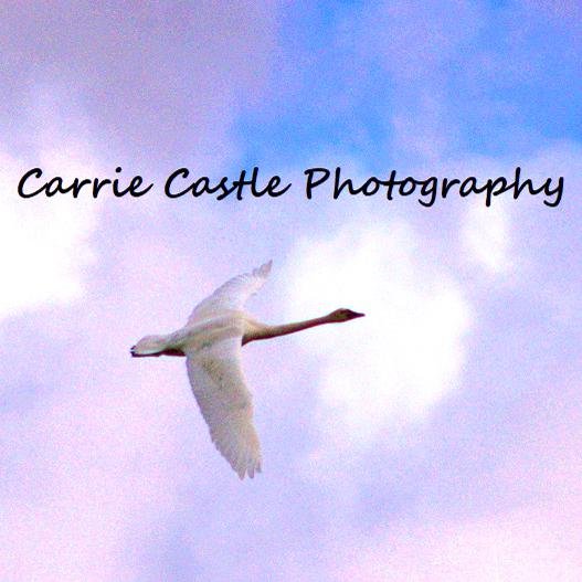 CARRIE CASTLE PHOTOGRAPHY - 32 Photos - 3644 E Shore Dr, Helena ...
