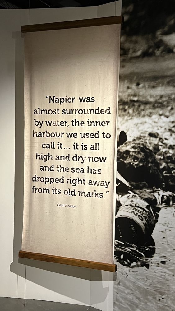 NAPIER LIBRARY AND MUSEUM - 19 Photos - 100 Marine Parade, Napier ...