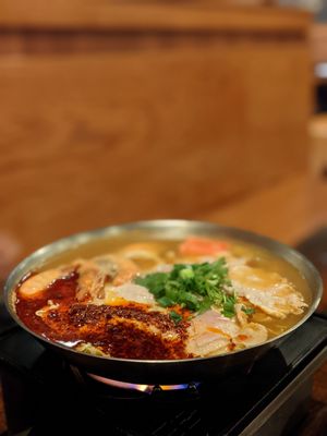 POP POT - Updated November 2024 - 586 Photos & 222 Reviews - 2180 ...