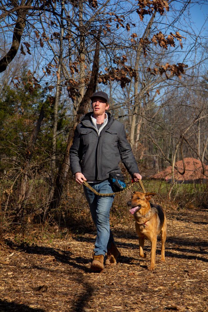 DEREK AND THE DOGS - Updated November 2025 - Princeton, New Jersey ...