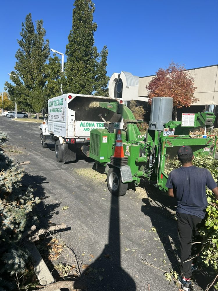 ALOHA TREE & LANDSCAPING - Updated August 2025 - Salt Lake City, Utah ...