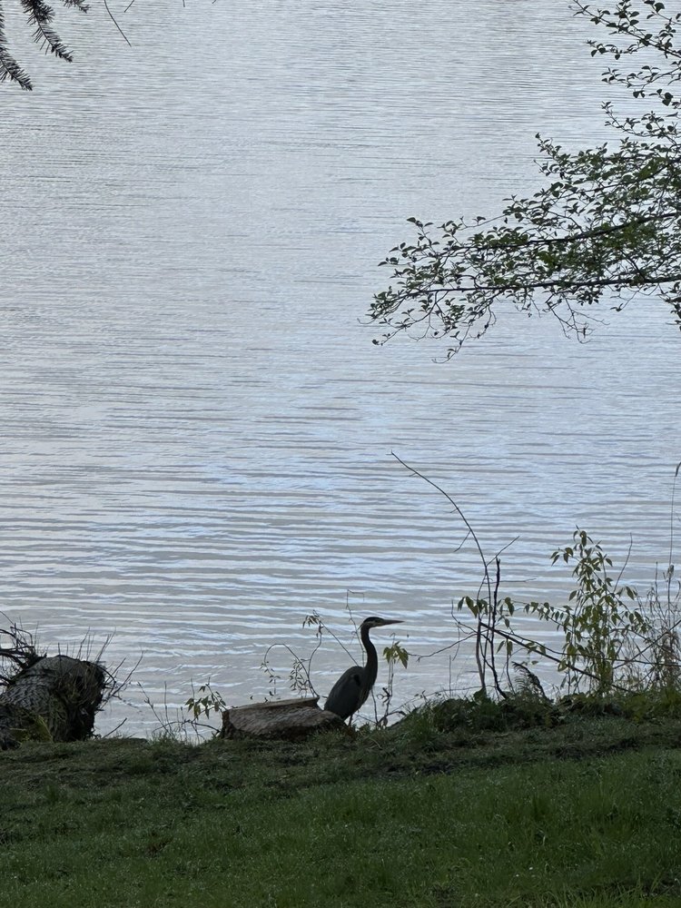 SPANAWAY PARK - Updated May 2026 - 65 Photos & 17 Reviews - 15588 ...